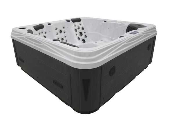 L816 PLUS - Best Seller Special - Silver Spas